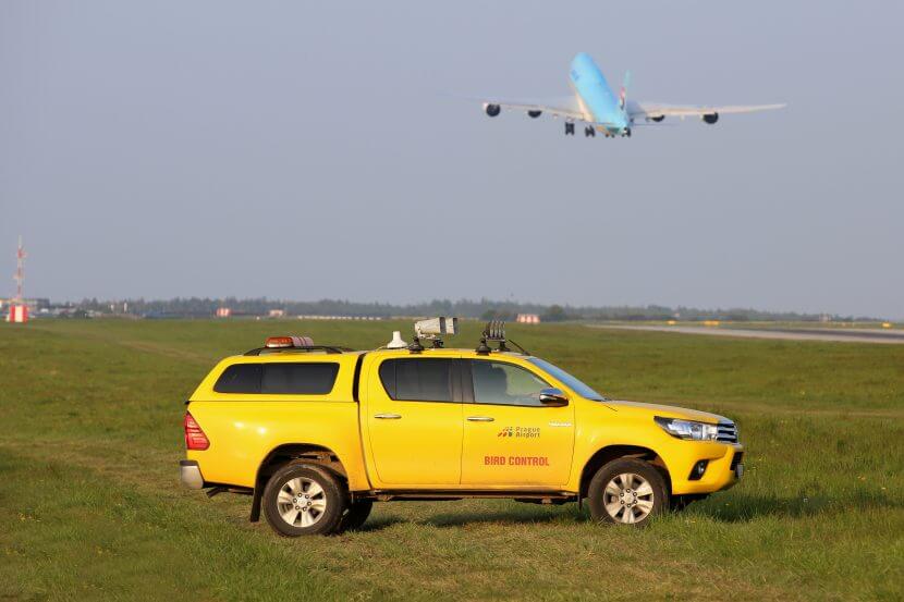 Bird Control - Case Studies | Scarecrow