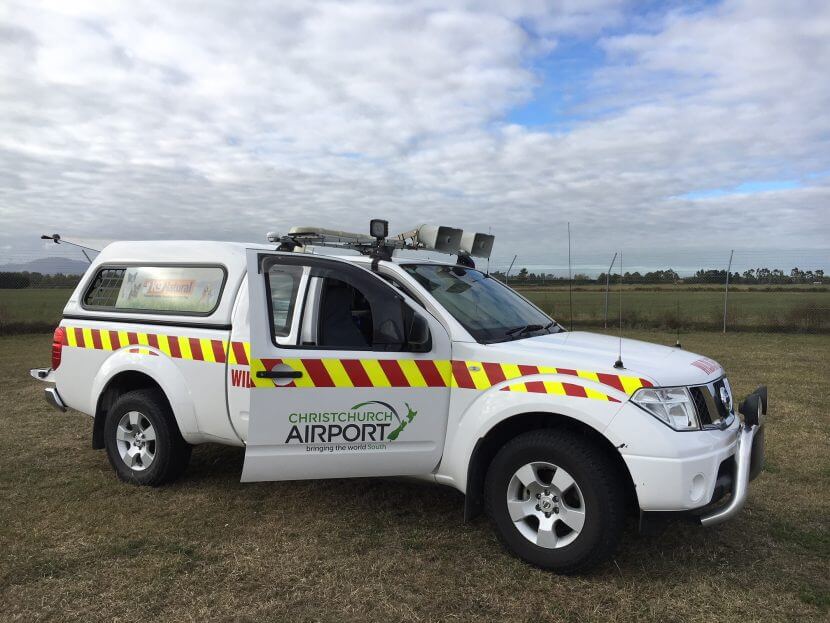 Bird Control - Case Studies | Scarecrow