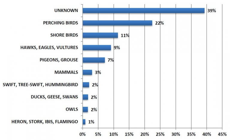Bird Strike Statistics | ICAO | IBIS | Bird strike prevention | Scarecrow